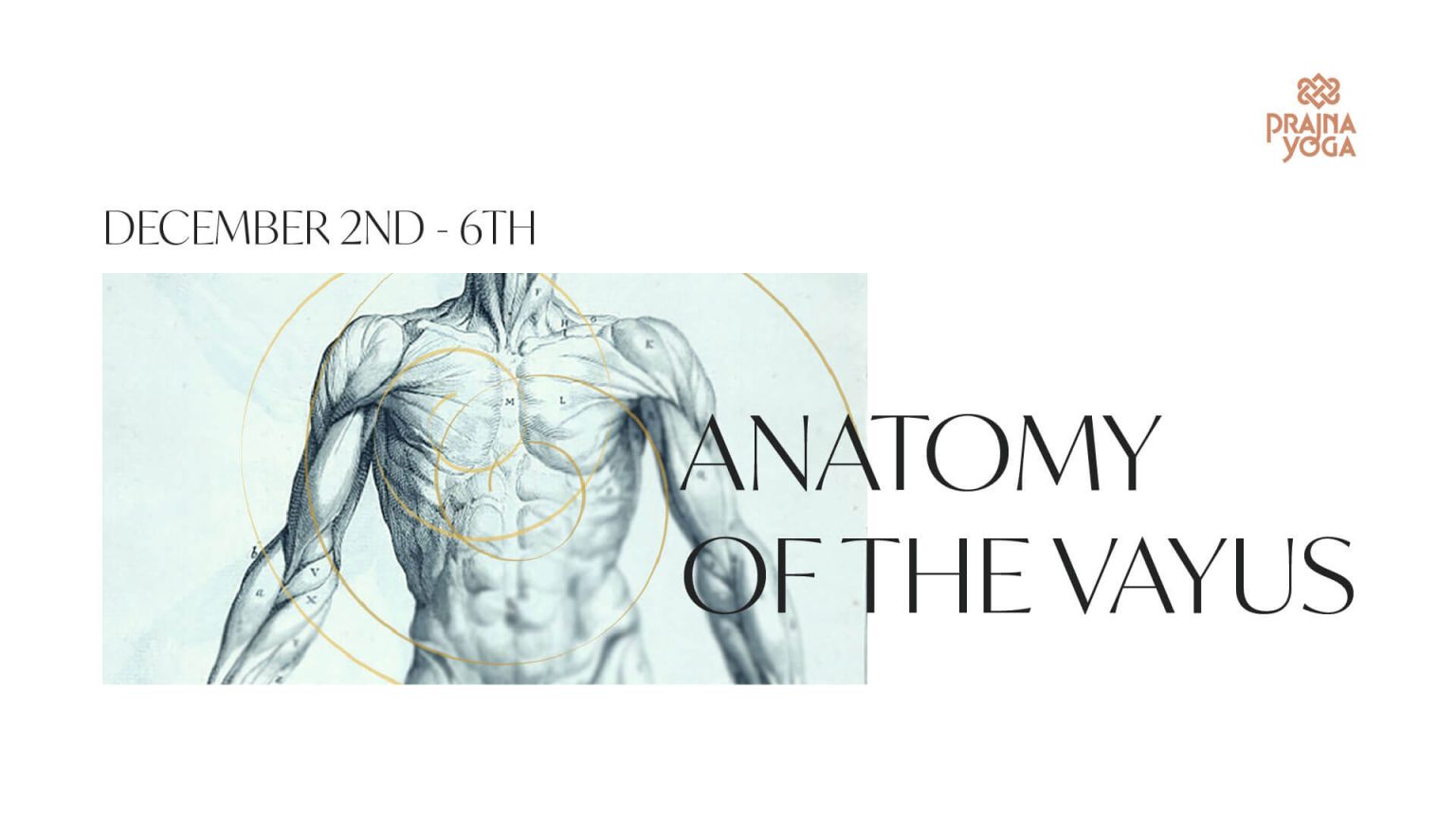 Anatomy of the Vayus | Online Course | Prajna Yoga