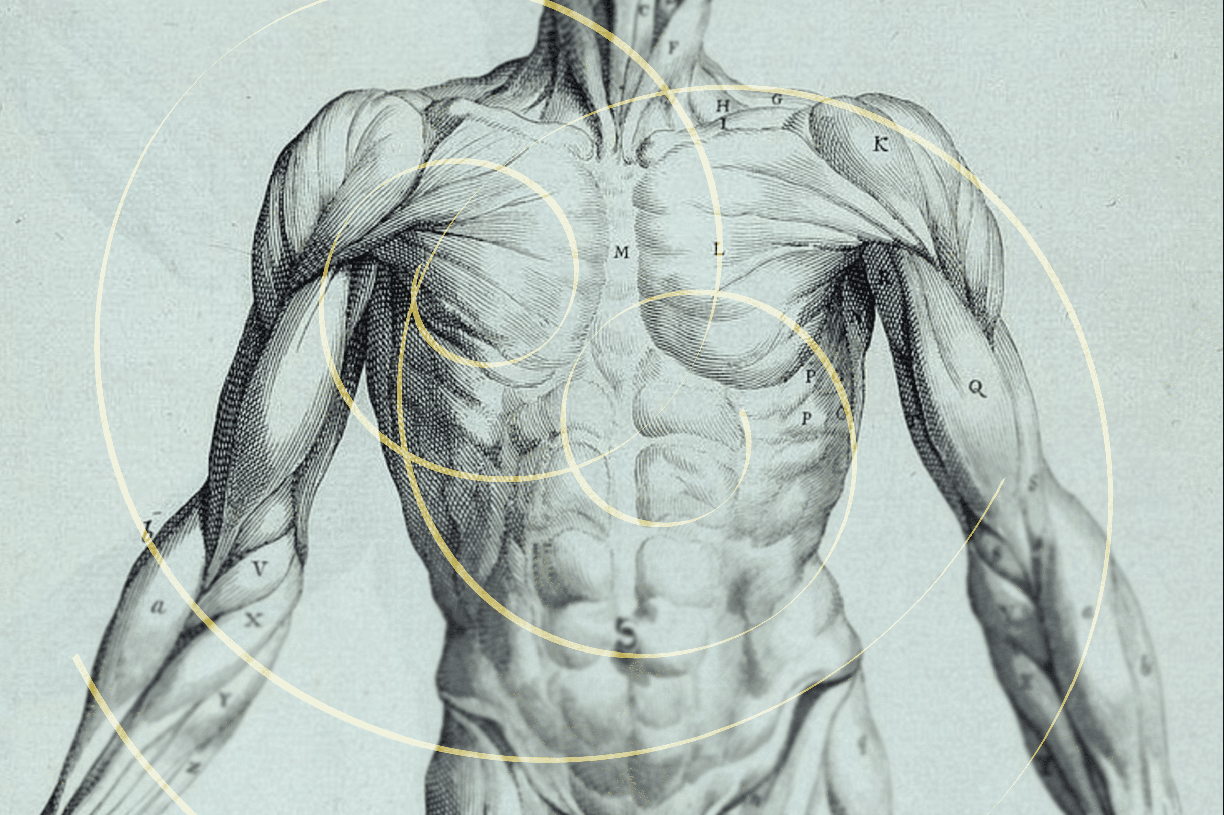 Prajna Yoga + Healing Arts