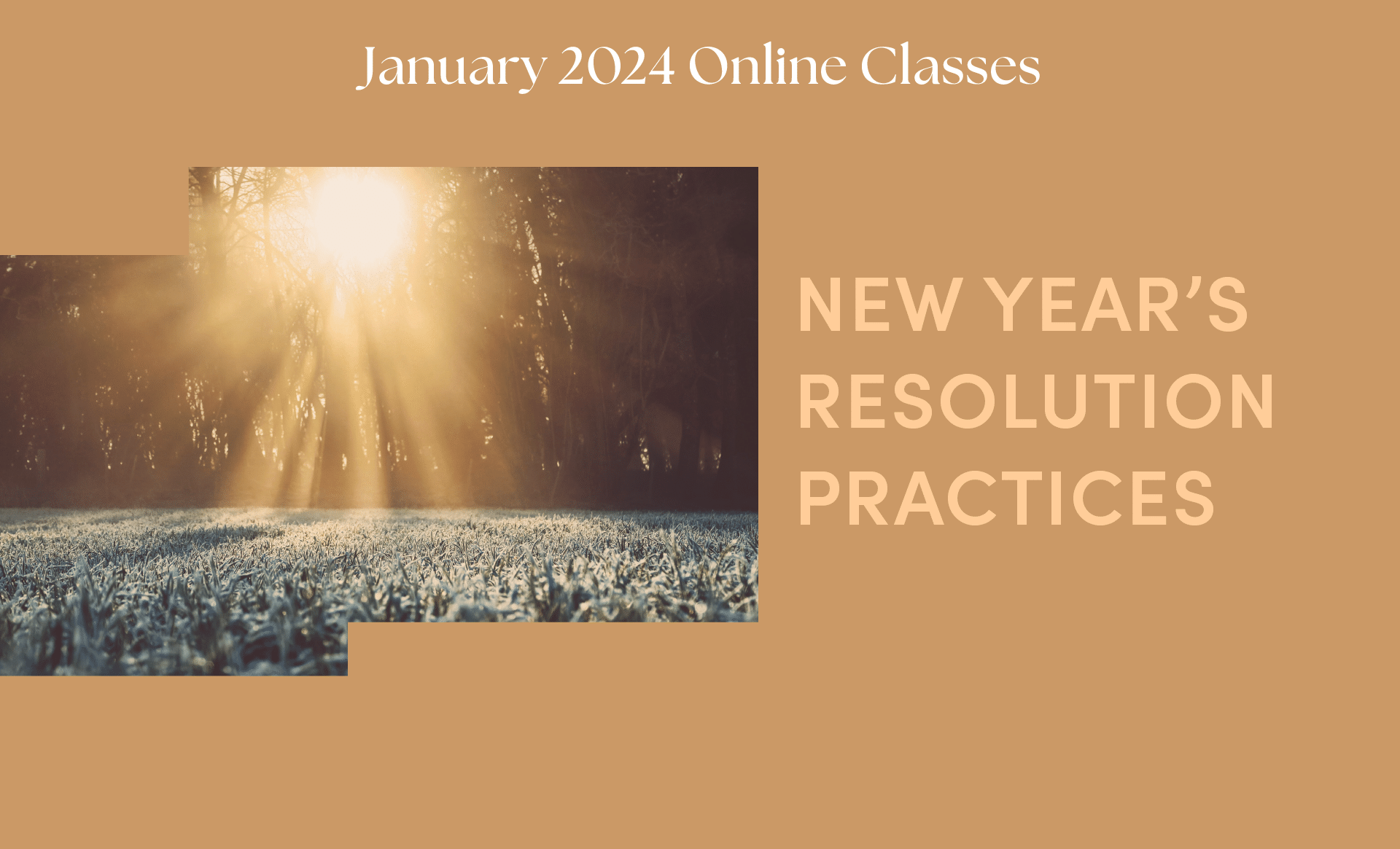 Prajna Yoga + Healing Arts - Mindful Yoga and Somatic Training - Yoga ...