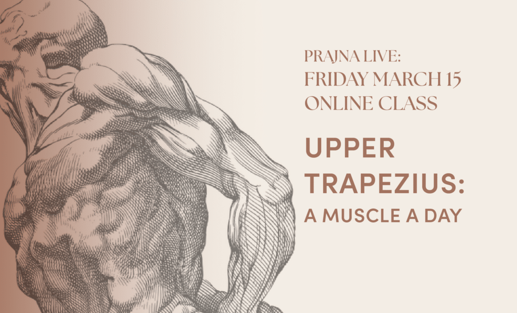 Prajna Live | Upper Trapezius | Online Practice | Prajna Yoga