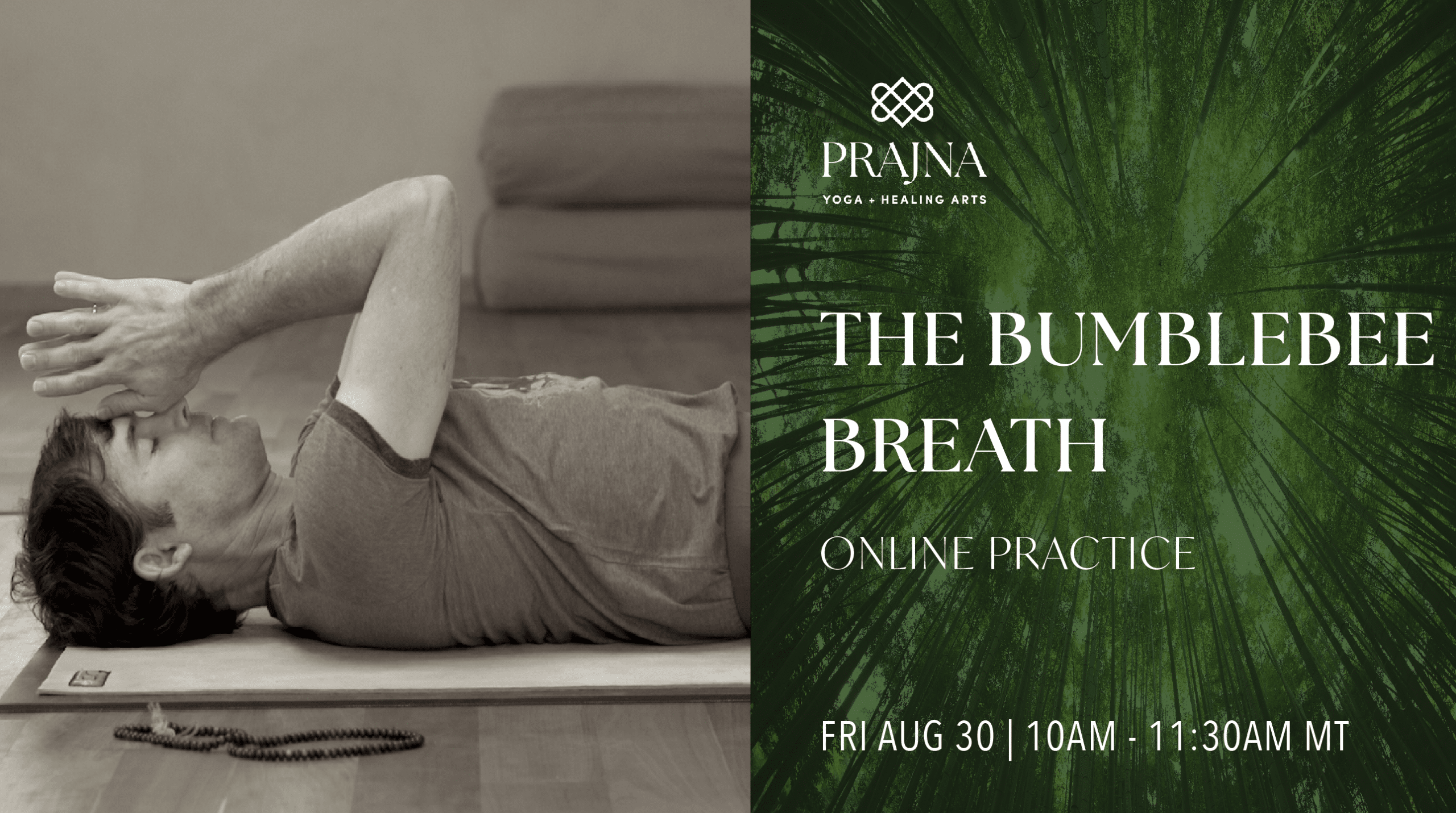 Prajna Live | The Bumblebee Breath | Online Practice | Prajna Yoga